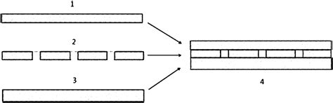Single Molecule Sequencing Chip And Preparation Method Thereof Eureka Patsnap