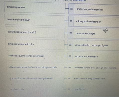 Answered Simple Squamous Transitional Epithelium Bartleby
