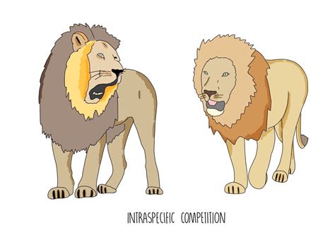 Interspecific Competition Examples