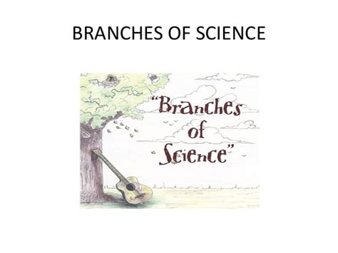 Branches Of Science Branches Of Science Science Branch