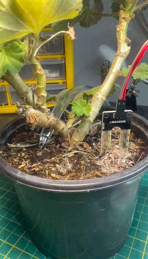 Guia De Montagem Automatizando A Vida Das Plantas Com Projeto De Irrigação Automática Blog