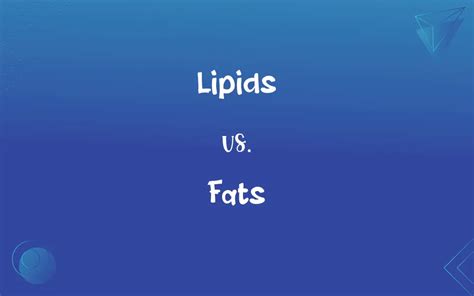 Lipids Vs Fats Whats The Difference