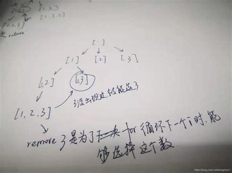 力扣46 全排列 力扣 46 js csdn博客