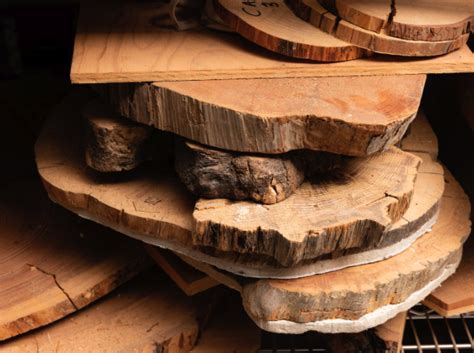 Washington Post What An Arizona Tree Reveals About The Hottest Year On Record And What Lies