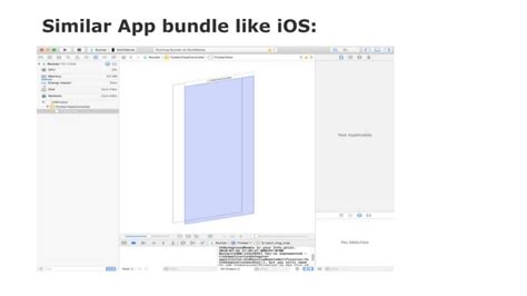 Ios Application Bundle By Flutter Ppt