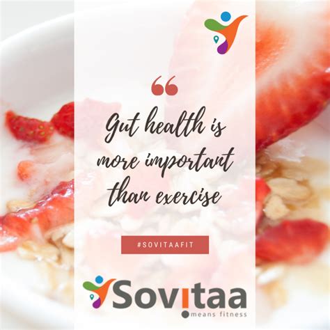 Gut Microbiome Second Brain Personality Fixer Mood Improver