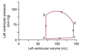 Phys 2 Practice Questions Flashcards Quizlet