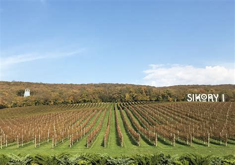 Винодельня Имение Sikory, Анапа, Краснодарский край | Купить вино ...