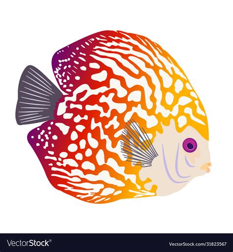 Discus Fish Colored Royalty Free Vector Image Vectorstock