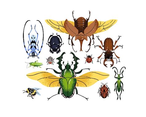 Varios Insectos Artrópodos Conjunto Diferente Composición De Especies