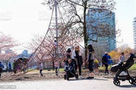 놀이터 두 어머니는 어린 아이와 함께 유모차와 함께 걷는다 다른 아이들은 밧줄 사다리를 오른다 좋은 날씨 벚꽃 사람들은 화창한 날 꽃이 만발한 나무에 공원을 즐긴다