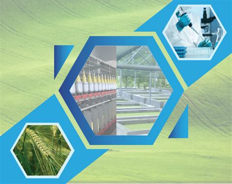 Отрова за мишки и плъхове на ниска цена от ДЖОРТАНИ ЕООД