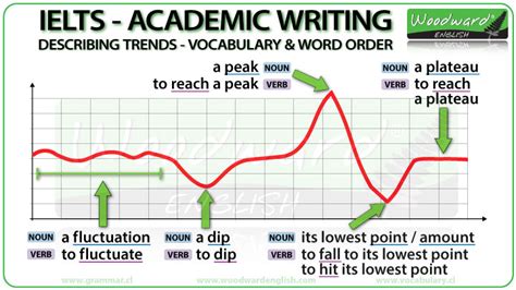 Ielts Line Graph Vocabulary Basics Ielts Writing Ielts Ielts Academic