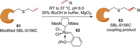 Protein Modification Via The Olefin Metathesis Coupling In Aqueous