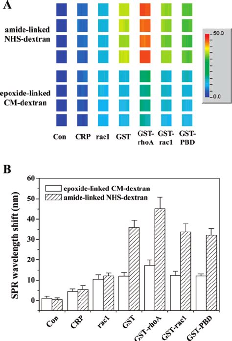 Analysis Of Antigen Antibody Interactions On Amide Linked Nhs