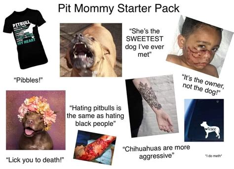 The Pit Mommy Starter Pack Rbanpitbulls