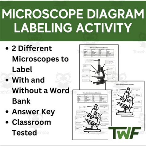 Microscope Diagram Labeling Activity By Teach Simple