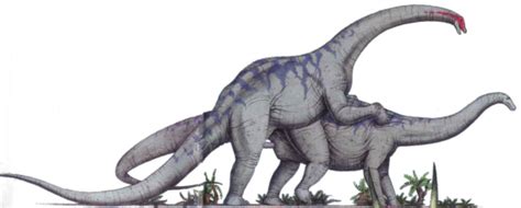 Yiffing In Gallery DINO