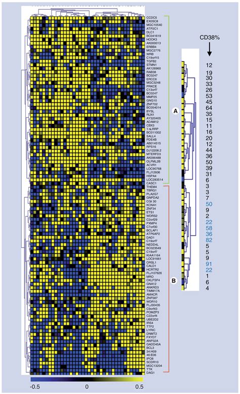 Hierarchical Clustering Analysis Of Dna Methylation Download