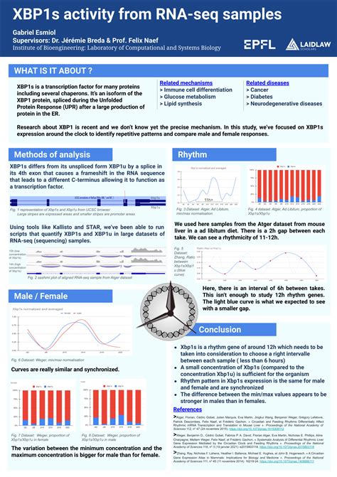 Research Poster Xbp1s Activity From Rna Seq Samples Laidlaw