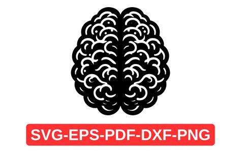Detailed Brain Svg Image Cerebral Png Graphic By Artful Assetsy