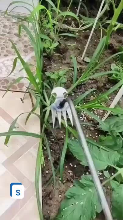 Video Safdar Ali On Linkedin A Secret Weapon For Your Garden Forget