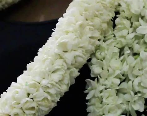 Tamil First Night Sex Mallipoo Indian Mature Mature Porn Xhamster