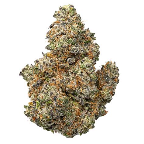 Sour Diesel Strain Thca Flower Living Soil Exotic Aaa Sherlocks