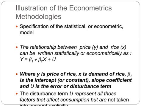 Overview Of Econometrics 1 Ppt