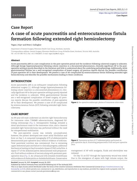Pdf A Case Of Acute Pancreatitis And Enterocutaneous Fistula Formation Following Extended
