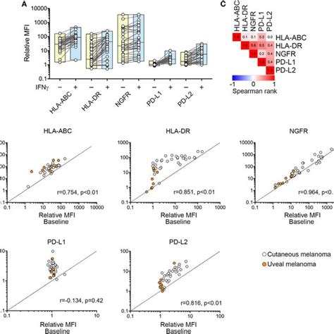 Analysis Of Interferon Gamma Receptor 1 Ifngr1 Expression In The