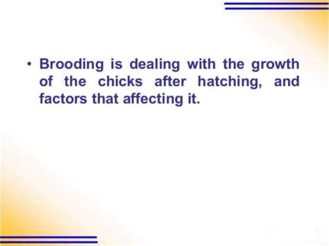 Brooding And Rearing Ppt