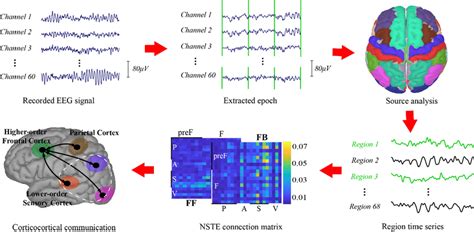 Schematic Diagram Of Eeg Data Processing And Analysis Ff Feedforward