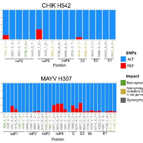 Single Nucleotide Polymorphism SNP Analysis Proportion Of Sequencing Download Scientific