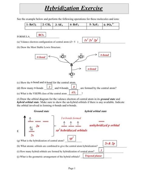 Solved Hybridization Exercise See The Example Below And Perform The