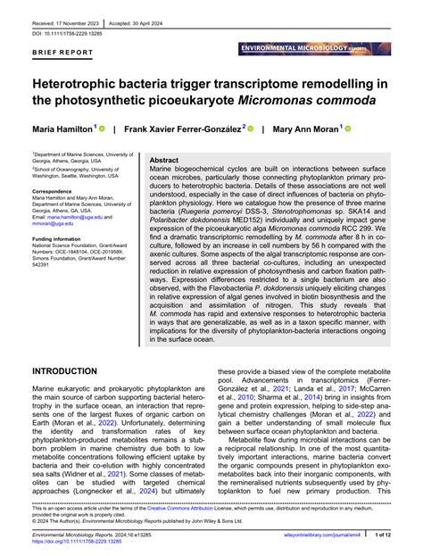 Pdf Heterotrophic Bacteria Trigger Transcriptome Remodelling In The