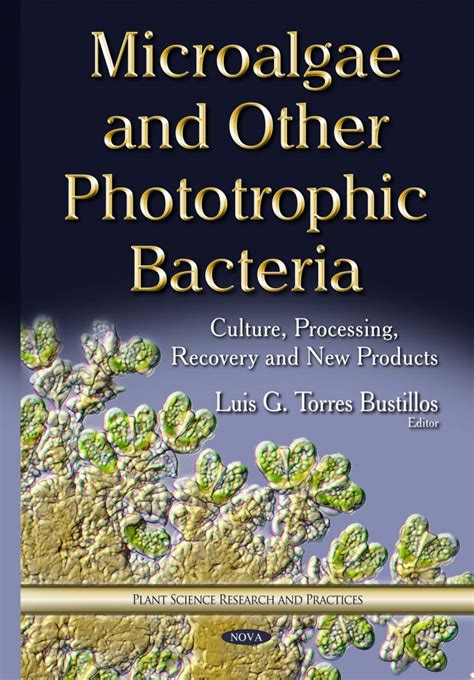 Microalgae And Other Phototrophic Bacteria Culture Processing Recovery And New Products