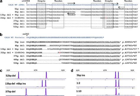 Characterization Of Calr Exon 9 Mutations In Patients With