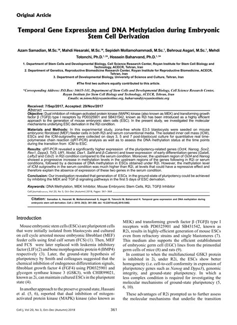 Pdf Temporal Gene Expression And Dna Methylation During Embryonic