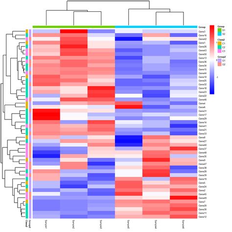Heatmap R2omics