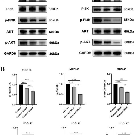 Bufalin Inhibited The Viability And Metastasis In Gastric Cancer Cells