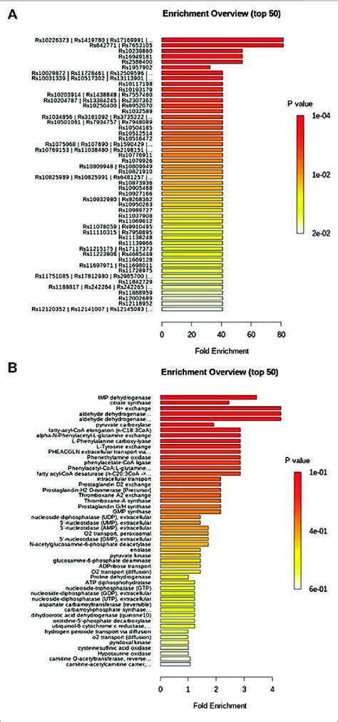 Single Nucleotide Polymorphisms Loci And Dysfunctional Enzymes Were Download Scientific