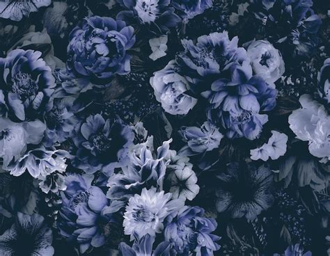 Navy Blue Floral Baroque Wallpaper