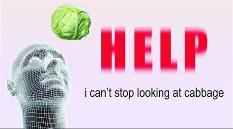 Cabbage Meme By Harwinsaggu Memedroid