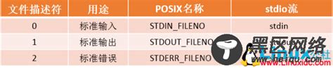 Linux教程之文件描述符、重定向、管道符、tee命令黑区网络