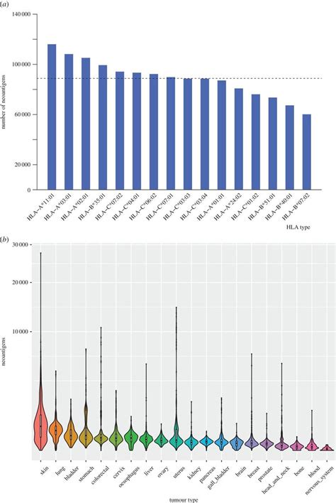 The Distribution Of Tumour Specific Neoantigens Across 16 Hla Types And Download Scientific
