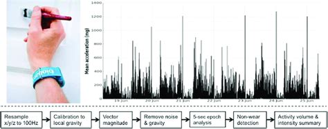 Uk Biobank Triaxial Accelerometer And Processing Steps To Extract Download Scientific Diagram