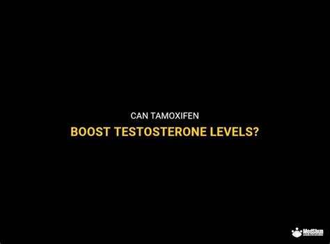 Can Tamoxifen Boost Testosterone Levels Medshun