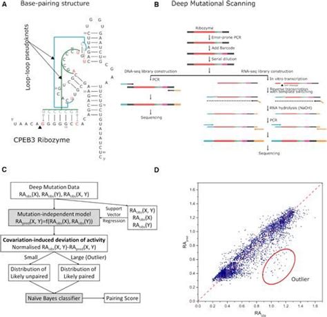 Accurate Inference Of The Full Base Pairing Structure Of Rna By Deep