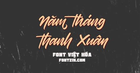 Font Vi T H A M I Ng Y Font Ch P Font Zin